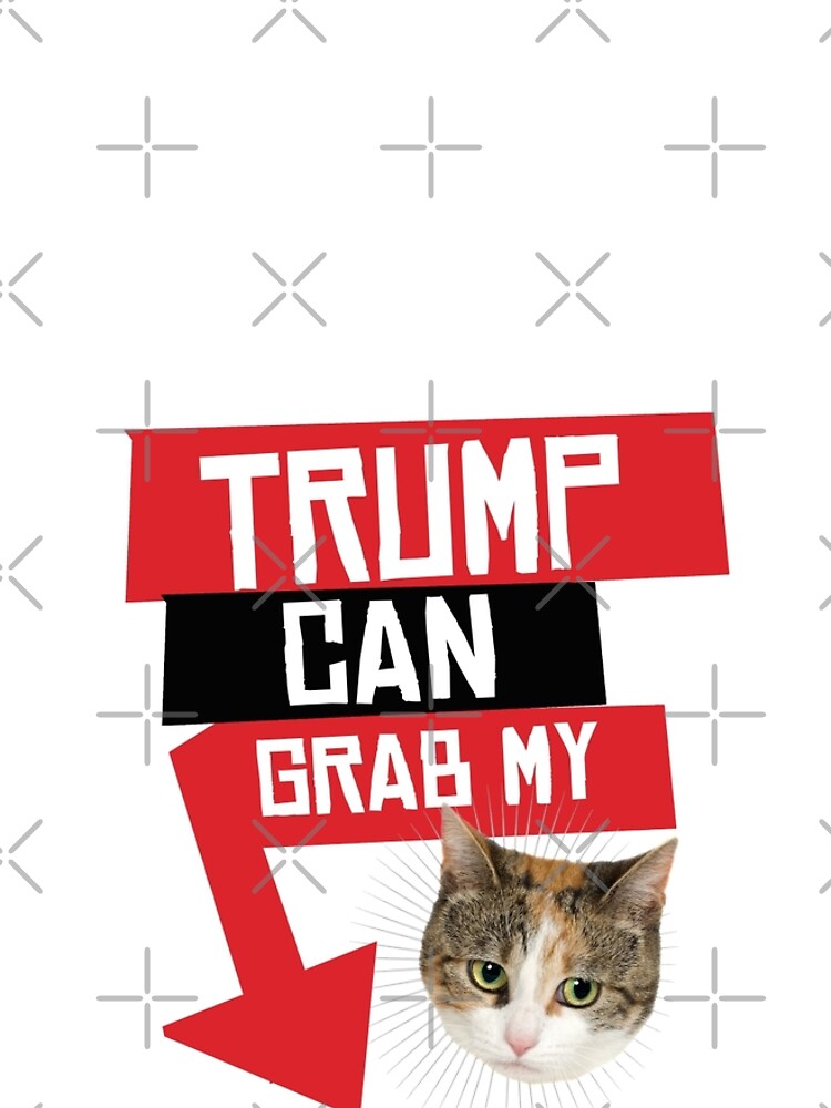 Trump Can Grab My Pussy Graphic T Shirt Dress For Sale By Popdesigner Redbubble