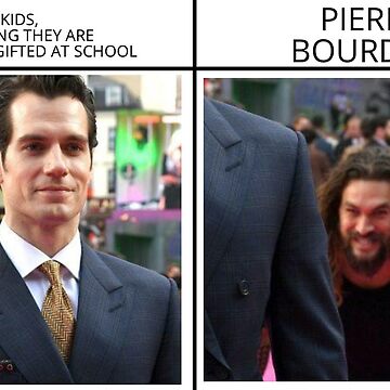 "Pierre Bourdieu (Jason Momoa) Sociology Meme" Sticker by ...