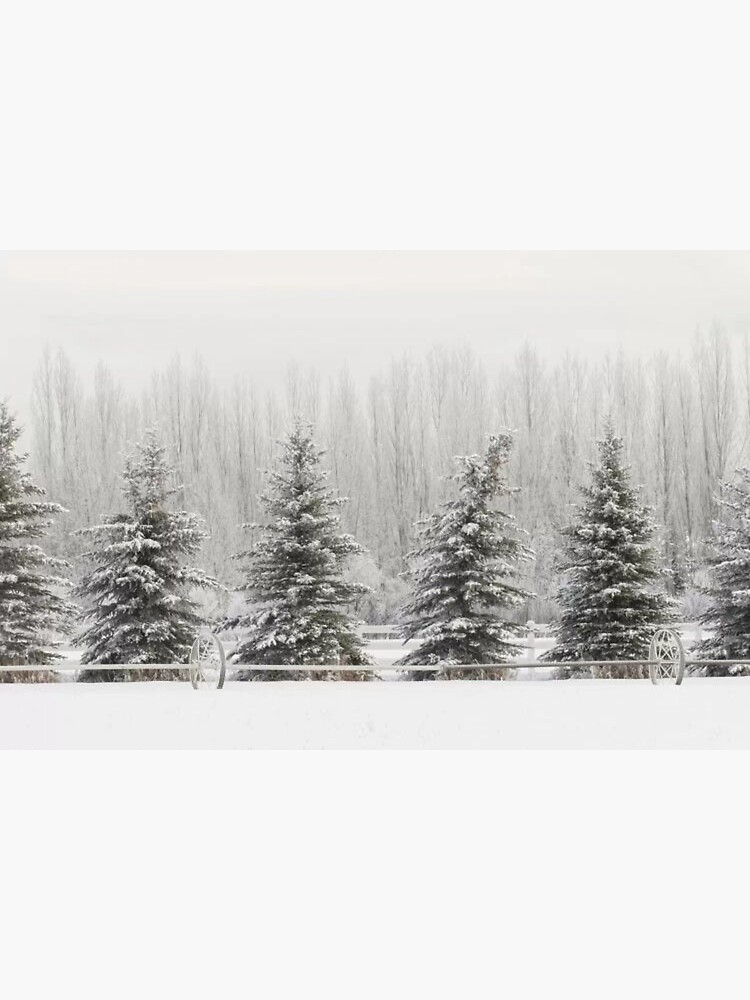 "Heavy Frost On Trees" Poster by KerriEloise | Redbubble