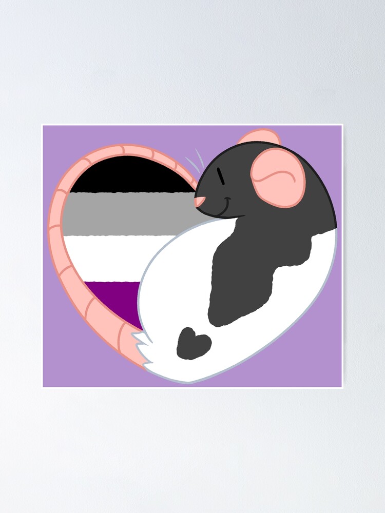 "Asexual Pride Rat" Poster for Sale by Dandyrats | Redbubble