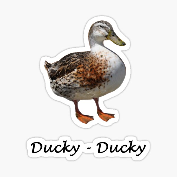 "Ducky - Ducky" Sticker for Sale by jozefbloks | Redbubble