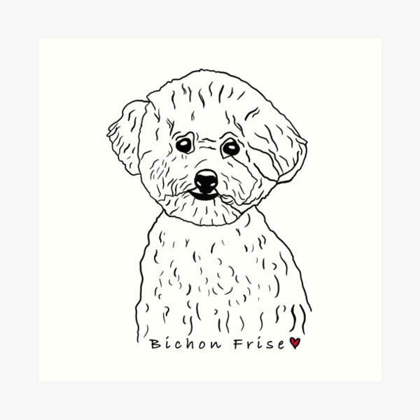 "Bichon Frise line drawing " Art Print for Sale by DesignedByEmma1 ...