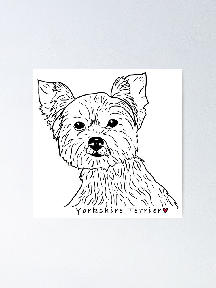 "Yorkshire Terrier line drawing" Poster for Sale by DesignedByEmma1 ...