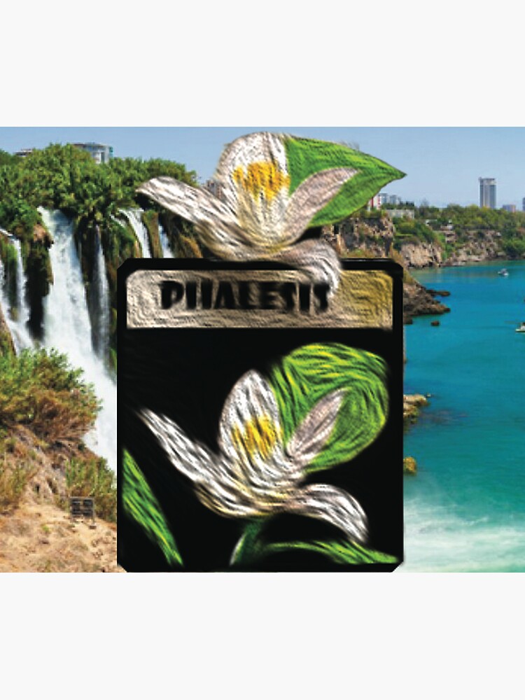 "ANTALYA & PHALESIS 1" Sticker for Sale by Nilgul | Redbubble