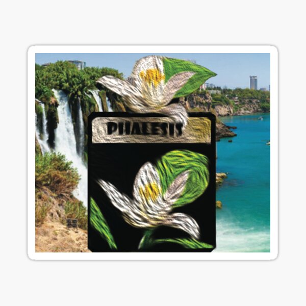 "ANTALYA & PHALESIS 1" Sticker for Sale by Nilgul | Redbubble