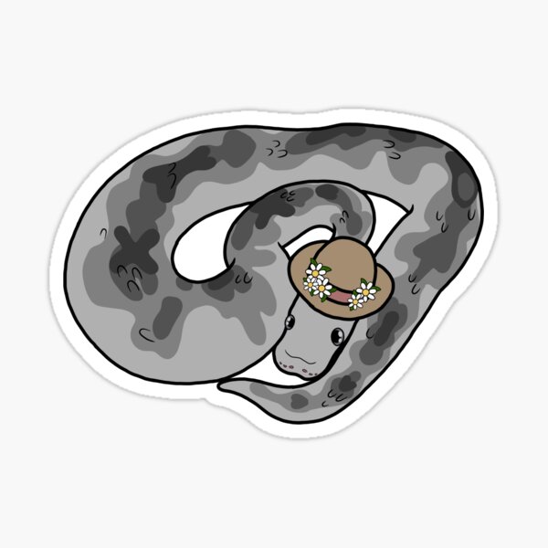 "Cute Ball Python" Sticker for Sale by MasonsTinyPets | Redbubble