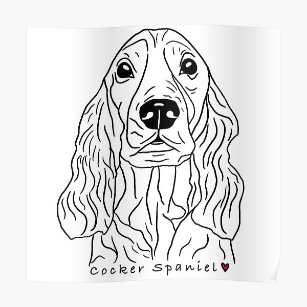 "Cocker Spaniel line drawing " Poster for Sale by DesignedByEmma1 ...