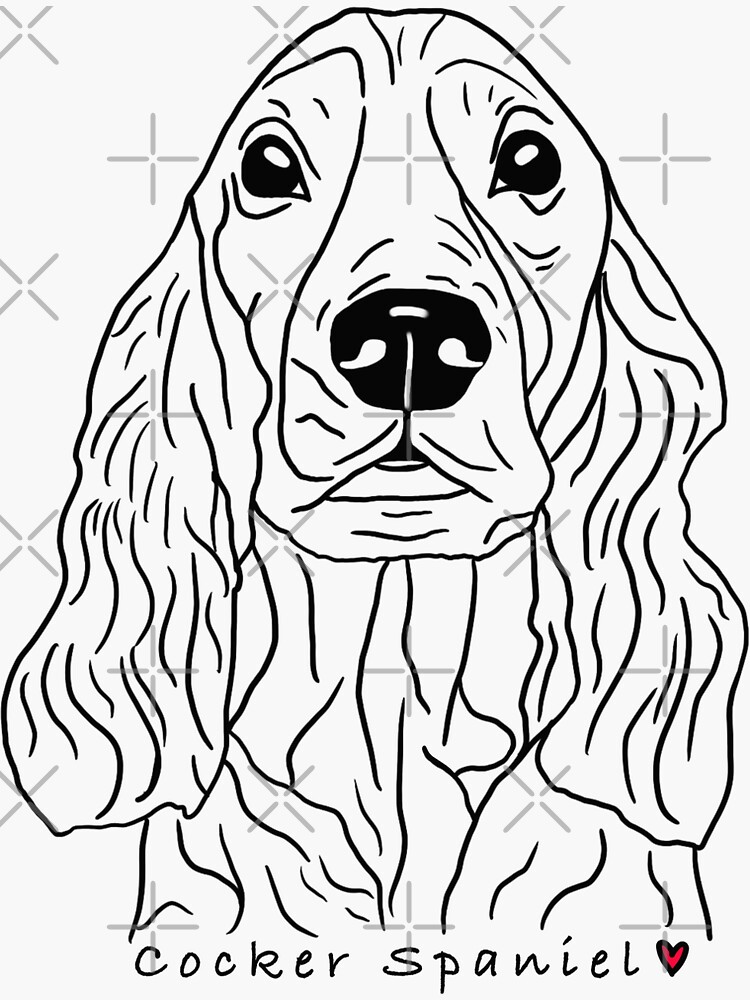 "Cocker Spaniel line drawing " Sticker for Sale by DesignedByEmma1 ...