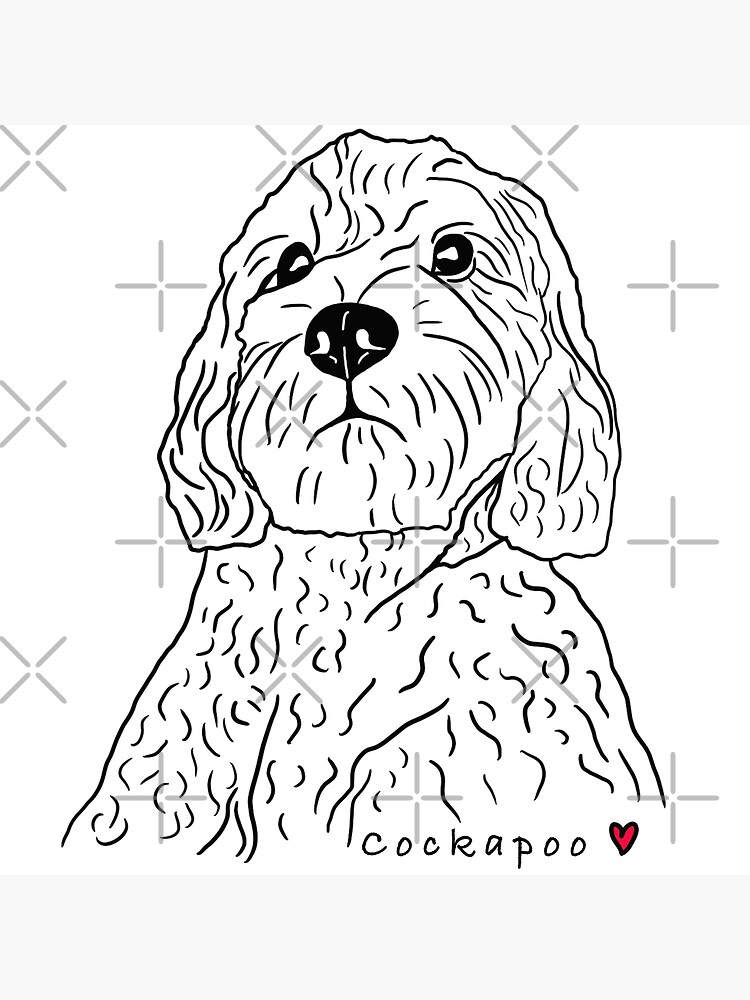 "Cockapoo line drawing " Poster for Sale by DesignedByEmma1 | Redbubble