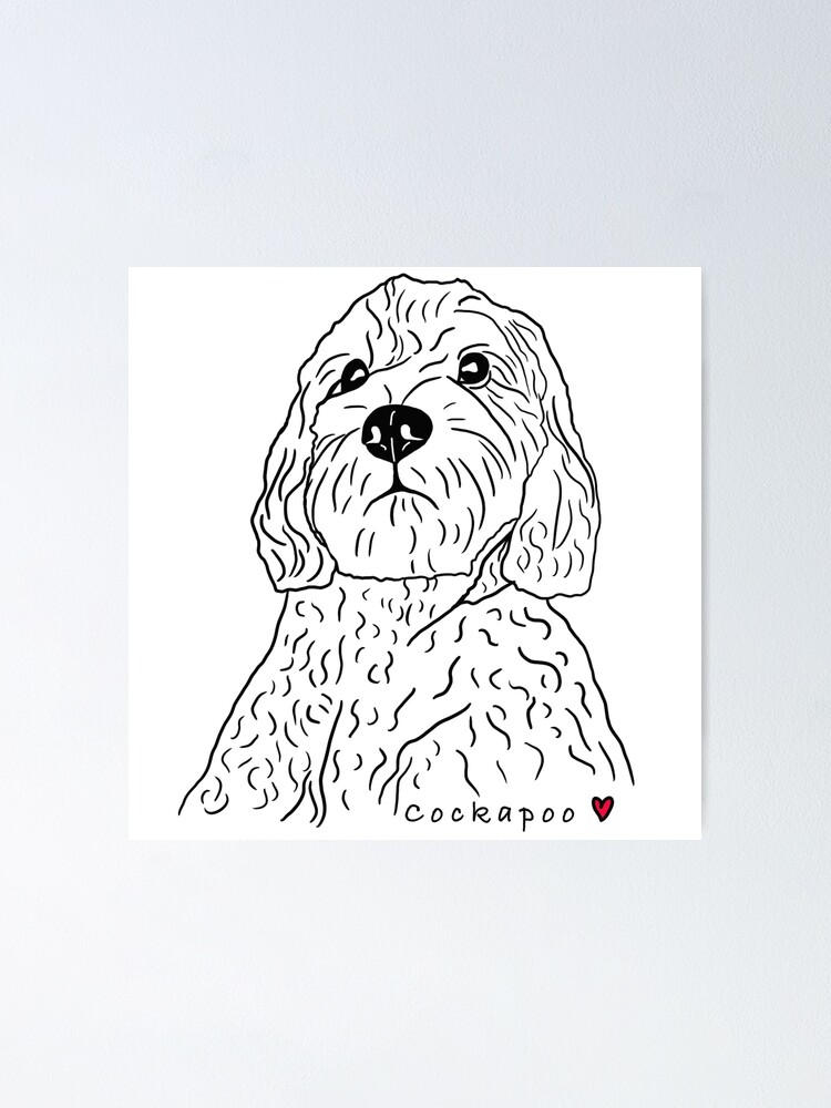 "Cockapoo line drawing " Poster for Sale by DesignedByEmma1 | Redbubble