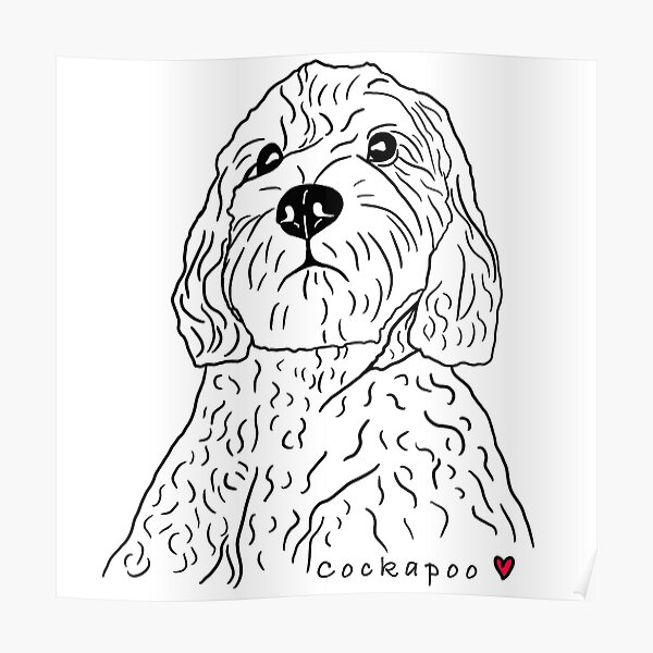 "Cockapoo line drawing " Poster for Sale by DesignedByEmma1 | Redbubble