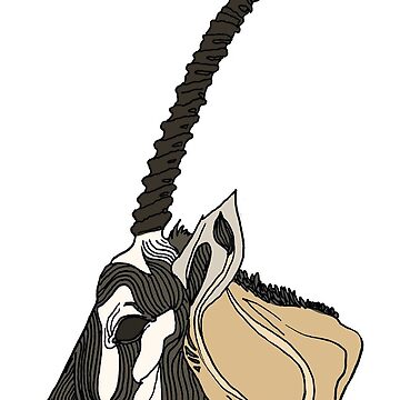 "National Animal of Oman: Arabian Oryx" Sticker for Sale by ...