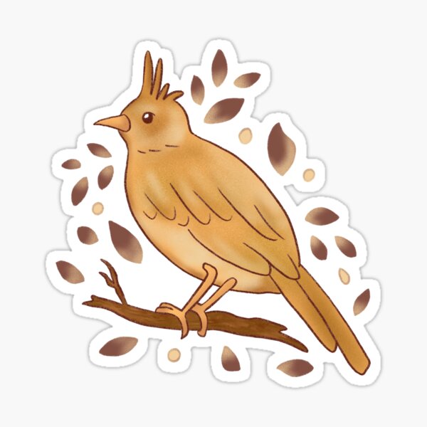 "early bird for early risers - wildlife" Sticker for Sale by ...