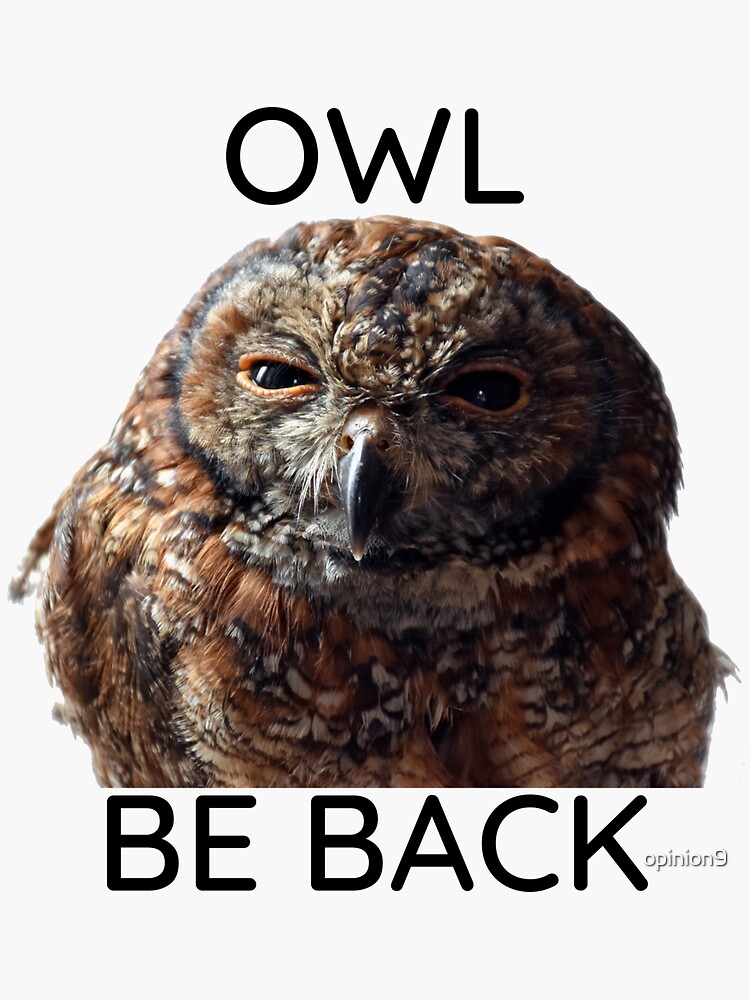 "Owl Be Back, angry looking owl" Sticker for Sale by opinion9 | Redbubble