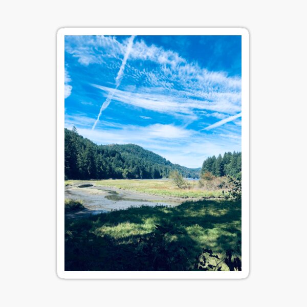 "Contrails and Forest " Sticker for Sale by Growing-Beans | Redbubble
