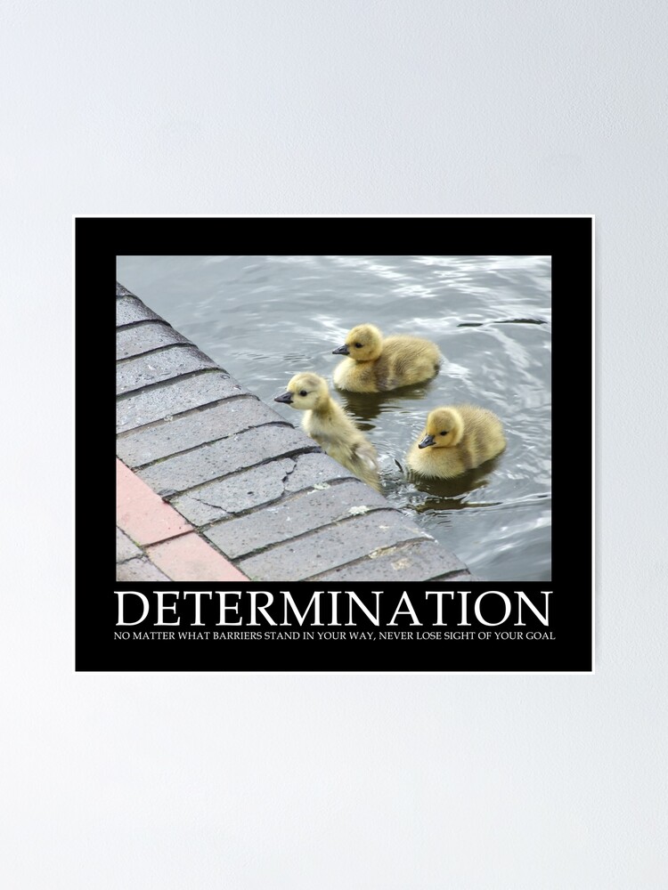 "Determination" Poster for Sale by Sparks68 | Redbubble