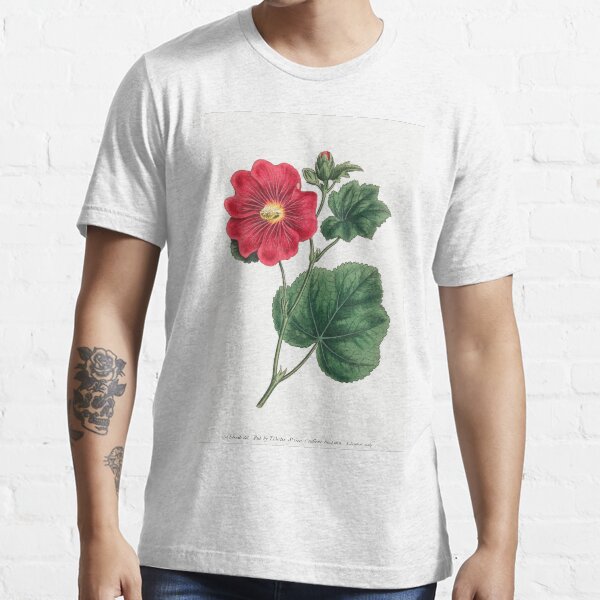 "Seringapatam A Hollyhock (Alcea Rosea) (1815) Image from The Botanical ...