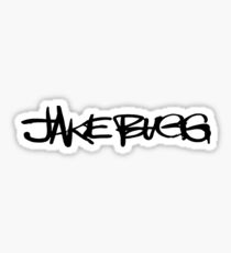 Jake Bugg Stickers | Redbubble