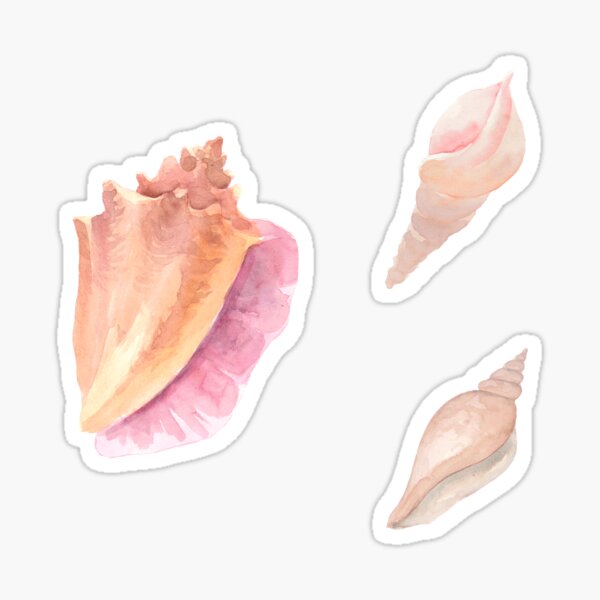 "Watercolor Summer Ocean Seashells" Sticker for Sale by sleepyrun ...