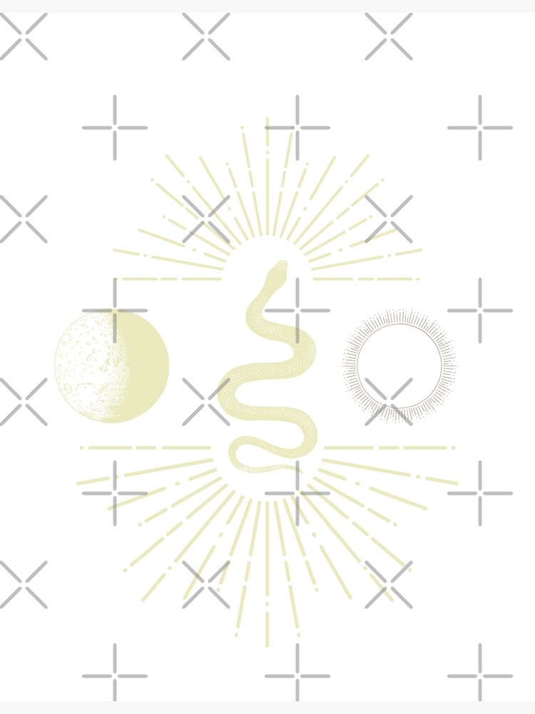 "grunge aesthetic snake, sun and moon " Poster for Sale by sarah ...