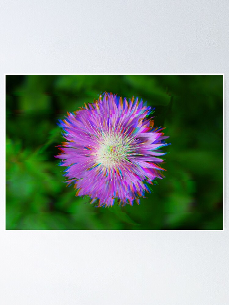 "Glitch Flower Centaurea" Poster for Sale by Asaha17 | Redbubble