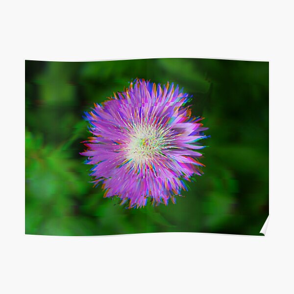 "Glitch Flower Centaurea" Poster for Sale by Asaha17 | Redbubble