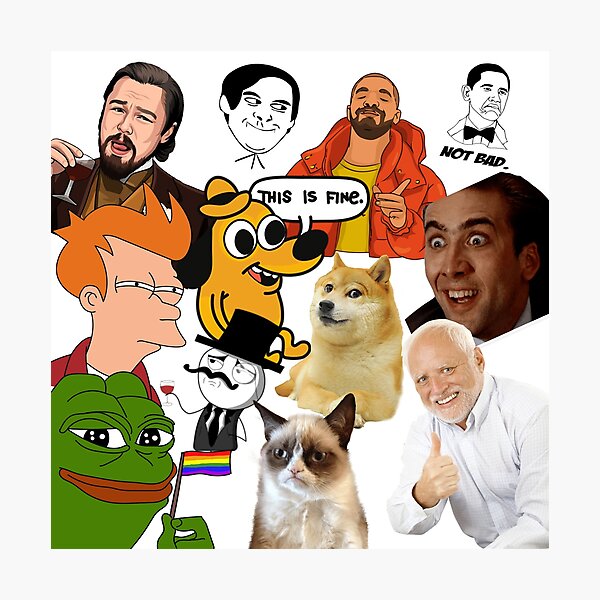 "memes everywhere trending popular (DOGE, Pepe the frog )" Photographic ...