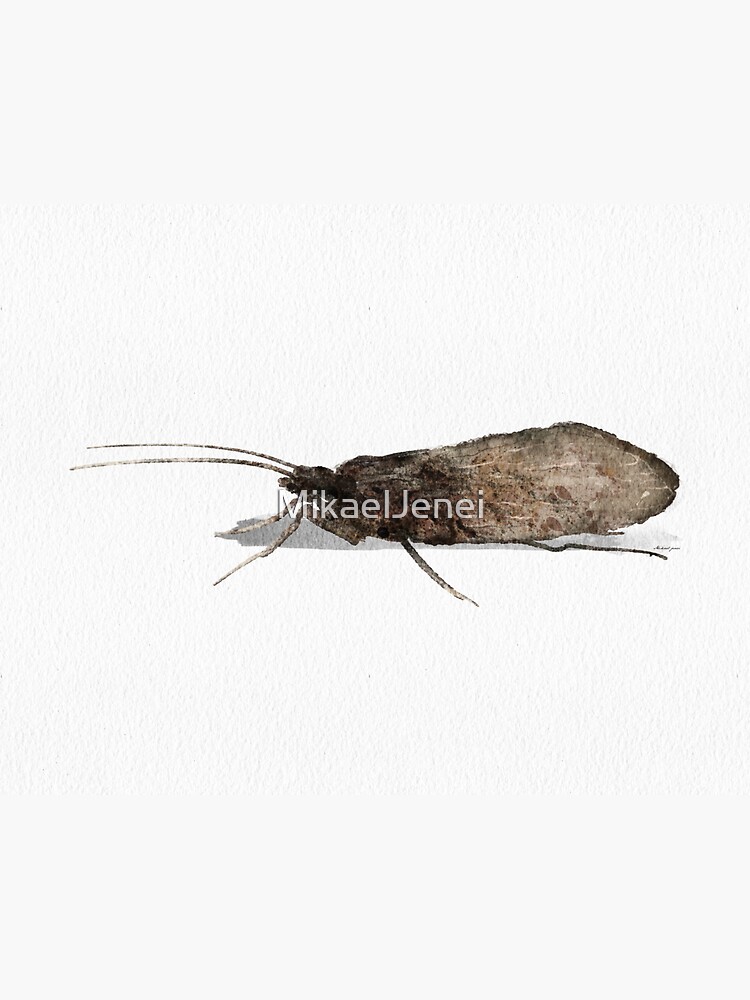 "Caddis " Sticker for Sale by MikaelJenei | Redbubble