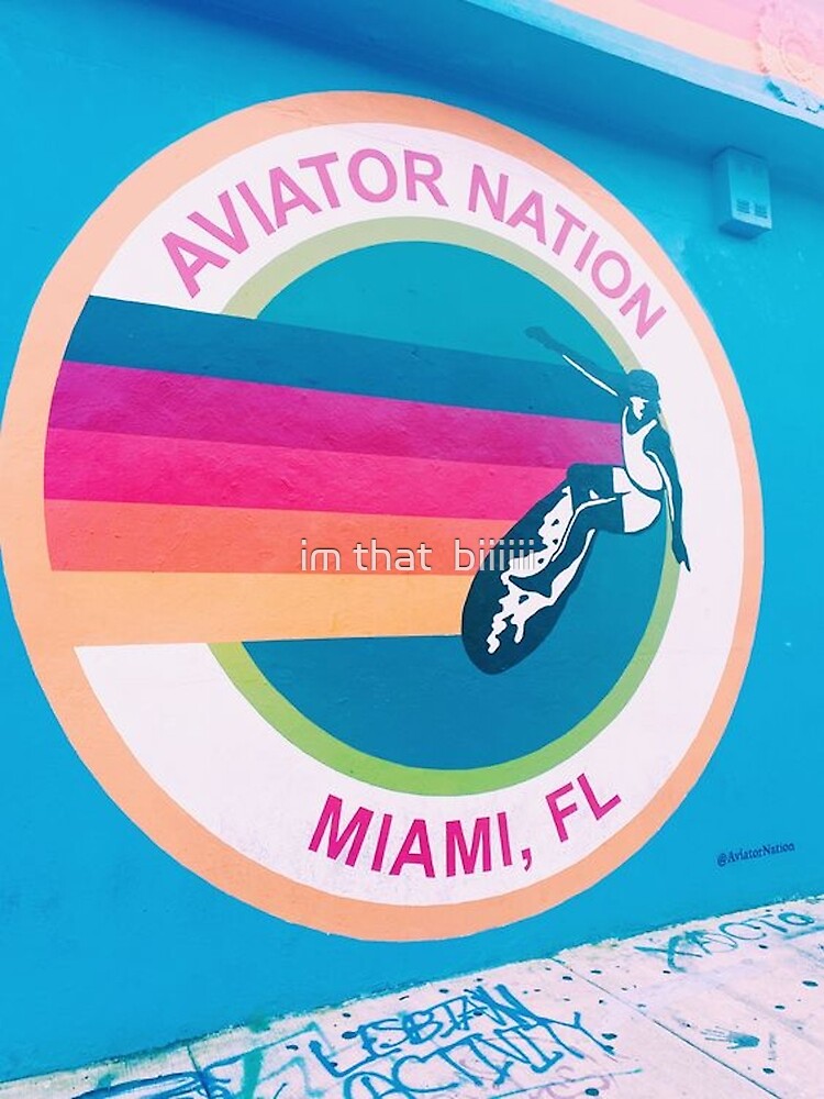 "aviator nation aesthetic" Poster for Sale by lizzygirlyoung | Redbubble