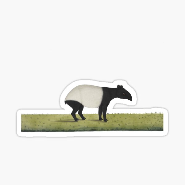 "Tapir" Sticker for Sale by EdgarCurious | Redbubble