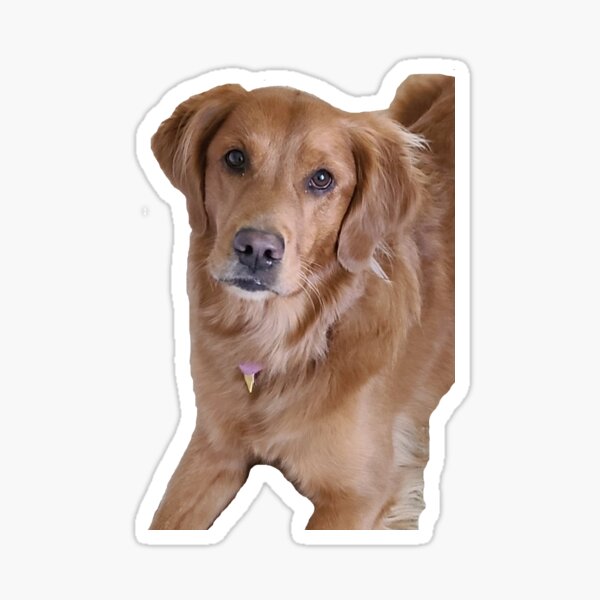 Presley Whitwell Shop | Redbubble