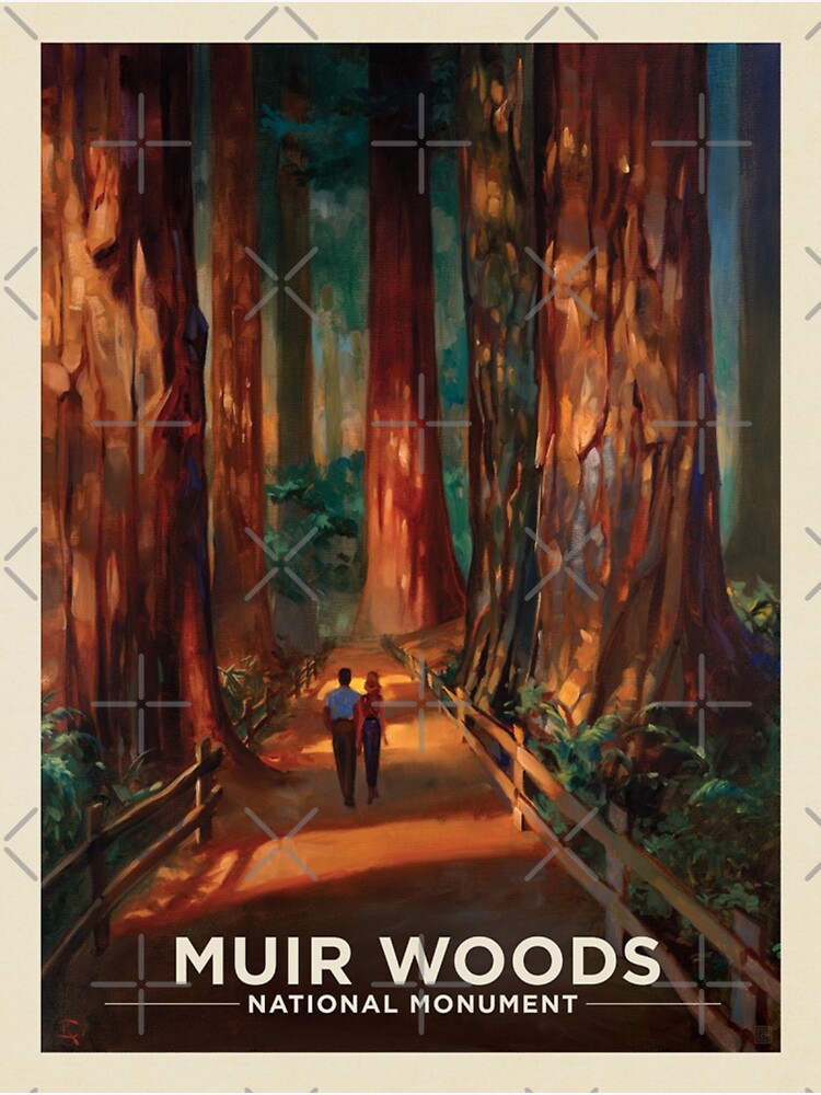 "Muir Woods national monument" Sticker for Sale by Lorebbb10 | Redbubble