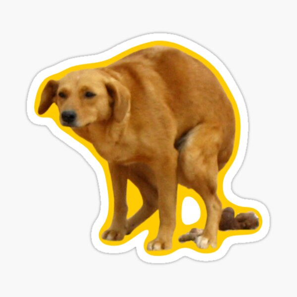 "DOG SHIT MEME STICKER 01" Sticker for Sale by iamsmiling | Redbubble