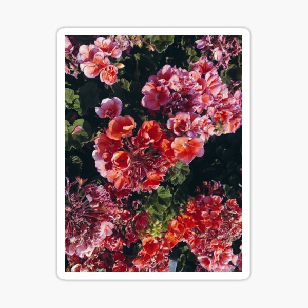 "Red flowers " Sticker by HumboldSoul | Redbubble