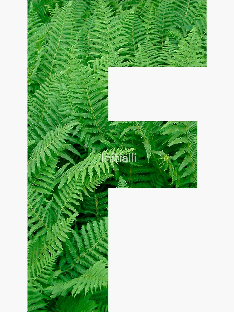 "F FERN" Sticker for Sale by Initialli | Redbubble