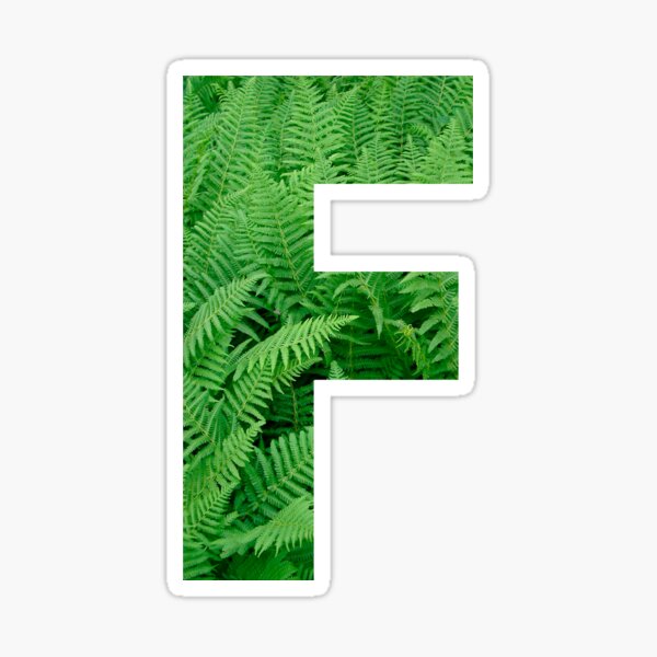 "F FERN" Sticker for Sale by Initialli | Redbubble
