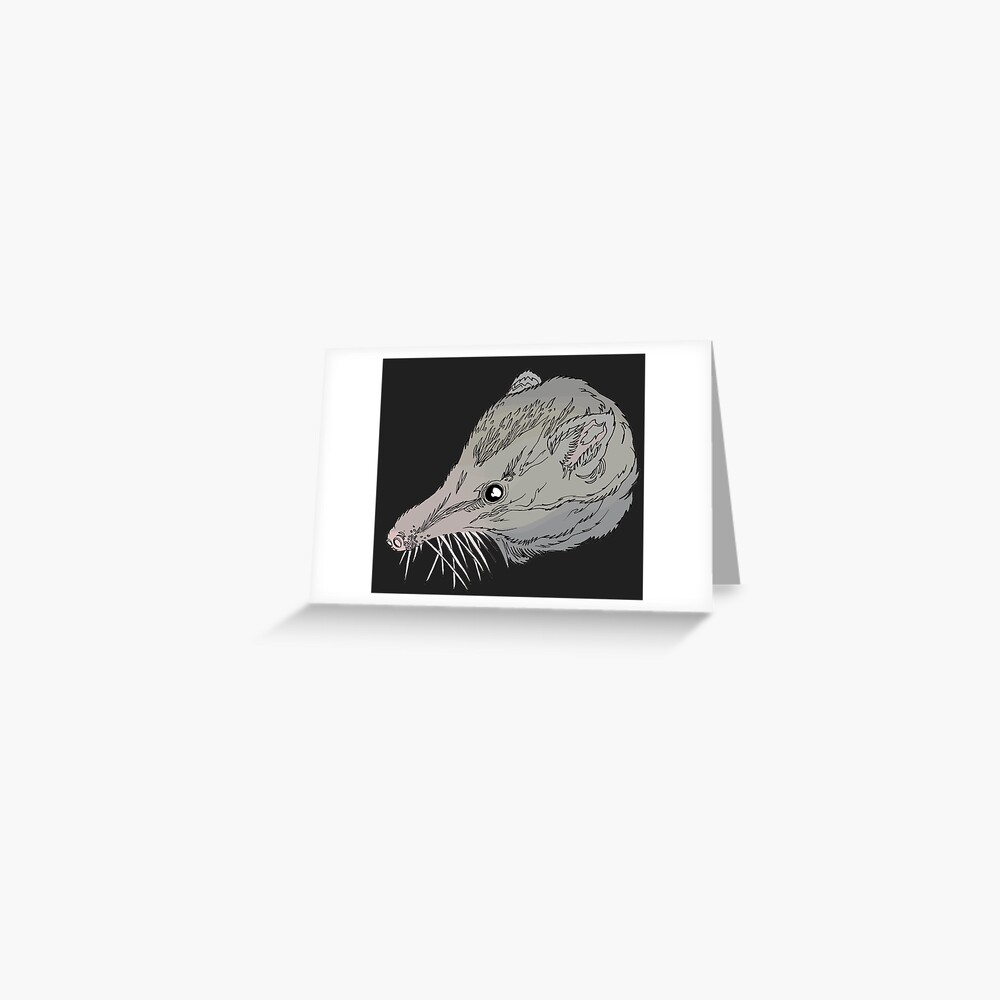 "National Animal of Sao Tome and Principe: Shrew" Greeting Card for ...