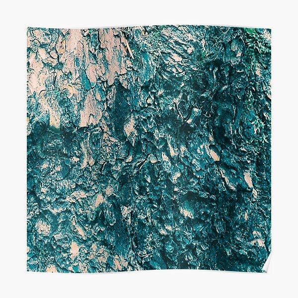 "Blue tree bark" Poster by Steph-draws | Redbubble