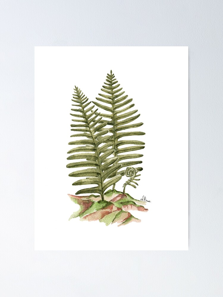 "Fern" Poster by PetitMartin | Redbubble