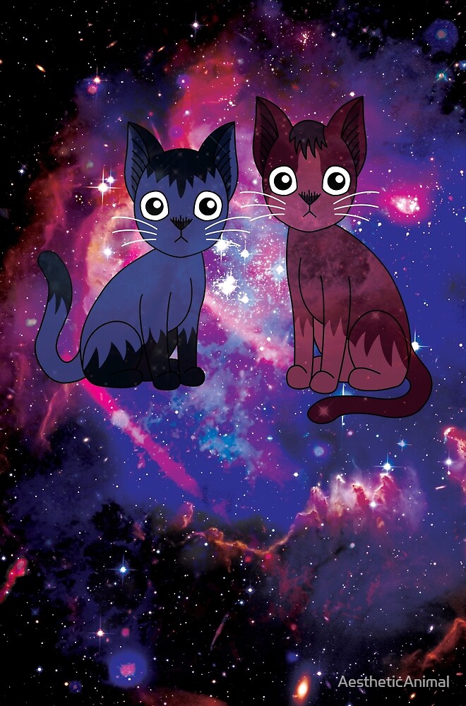"Galactic Kittens" by AestheticAnimal | Redbubble