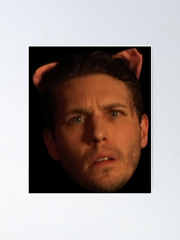 "Catboy Jerma " Poster for Sale by Flanignhandmade | Redbubble