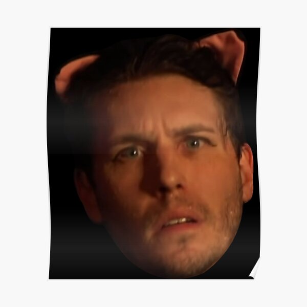 "Catboy Jerma " Poster for Sale by Flanignhandmade | Redbubble