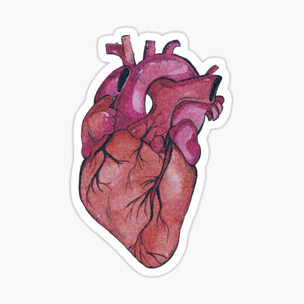 Sticker « PNL Coeur - QLF », par saifshop14 | Redbubble