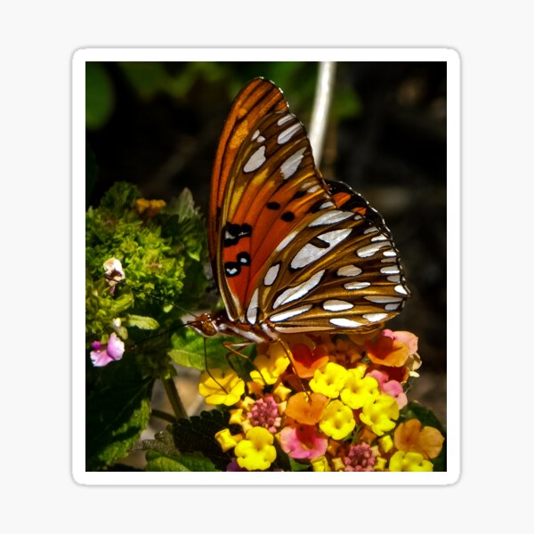 "Just Hanging Around" Sticker for Sale by GenaHerro | Redbubble