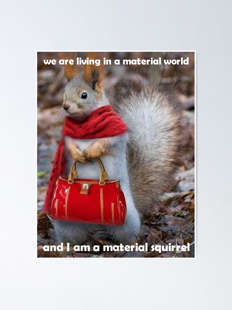 "Funny Material Squirrel Shopping with Handbag Meme Gift" Poster for ...
