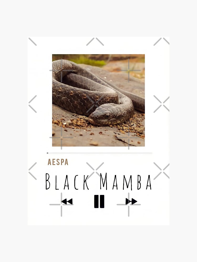 ""Black Mamba" by Aespa" Sticker for Sale by MelissaSaunders | Redbubble