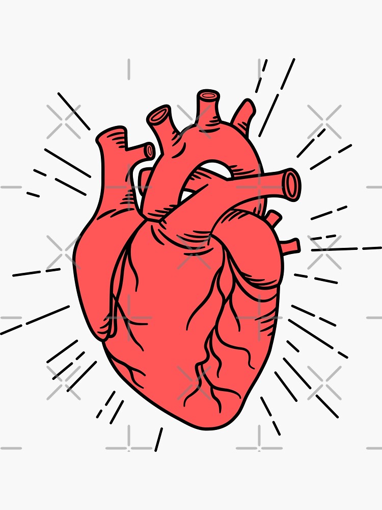 "Realistic Heart" Sticker for Sale by SkyAfterDusk | Redbubble
