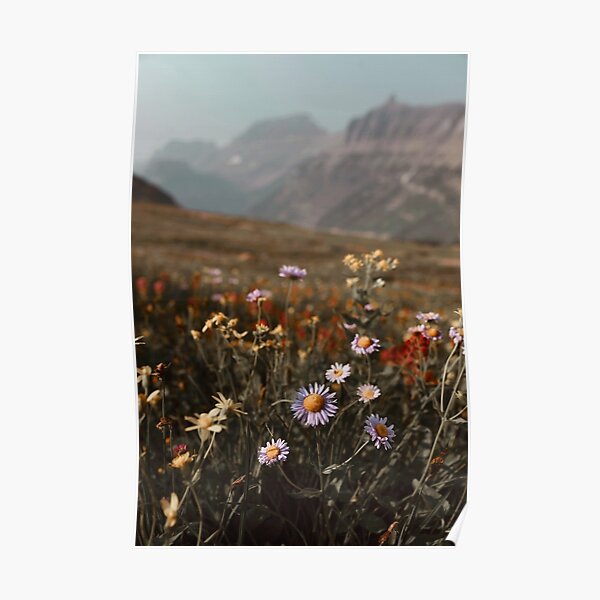 "Mountain meadow " Poster for Sale by bellehibou | Redbubble