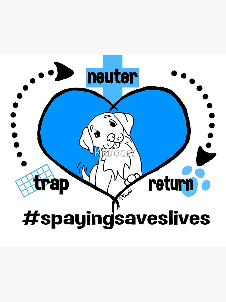 "trap neuter return" Poster for Sale by Kiwoart | Redbubble