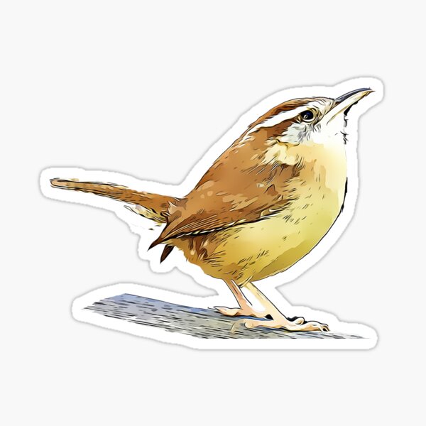 "Carolina Wren " Sticker for Sale by KxNation | Redbubble